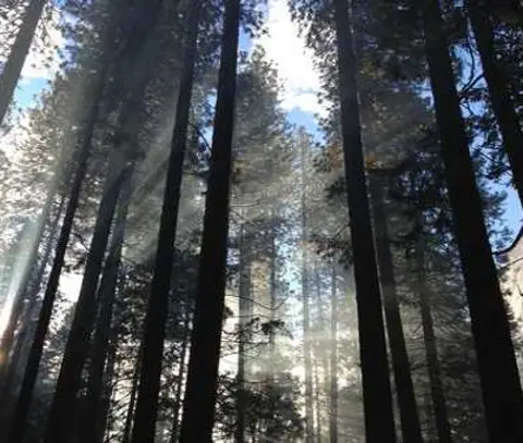 MBTI별 직업 성향과 추천 직업 - 이지데이픽스